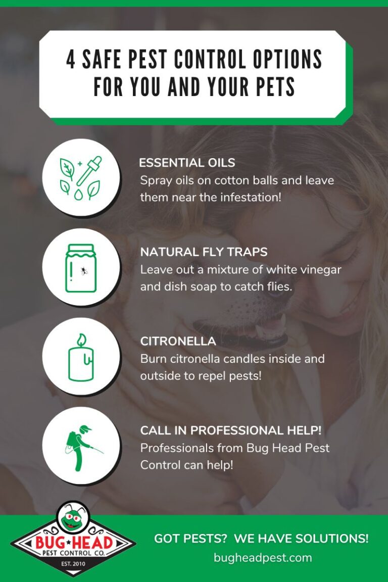 4 Safe Pest Control Options for You and Your Pets - Bughead Pest Control