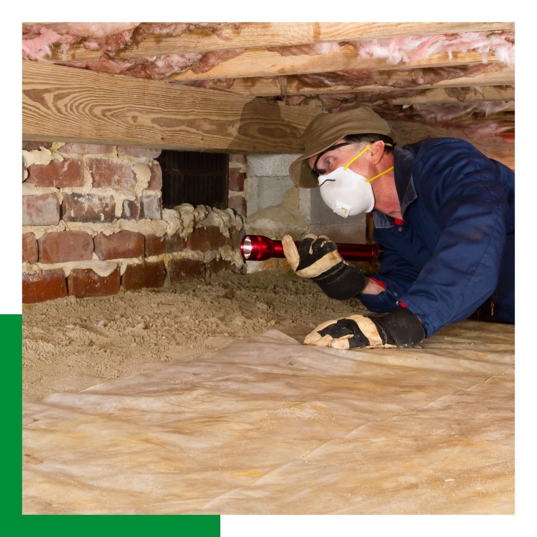 Effective Termite Control in Flower Mound, TX